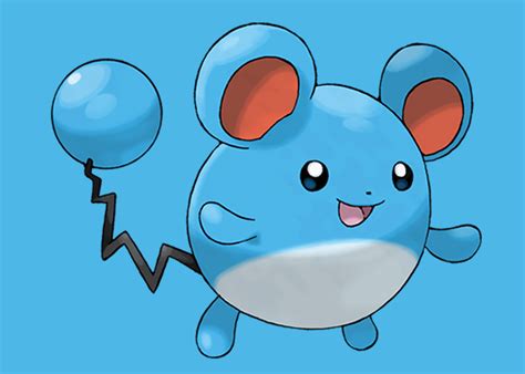 Marill Wallpapers Wallpaper Cave Marill Wallpapers Wallpaper Cave