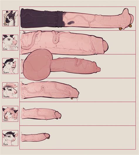 Rule 34 Animal Genitalia Animal Penis Anthro Big Knot Big Penis
