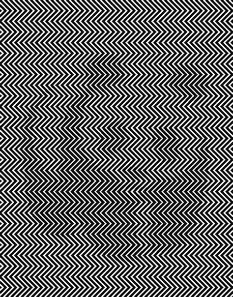 Only Those With Razor Sharp Eyesight Can See Hidden Panda In Zig Zag Optical Illusion The Mirror