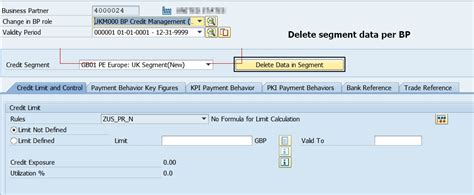 Mass Delete Credit Segment Data From Bp Sap Community