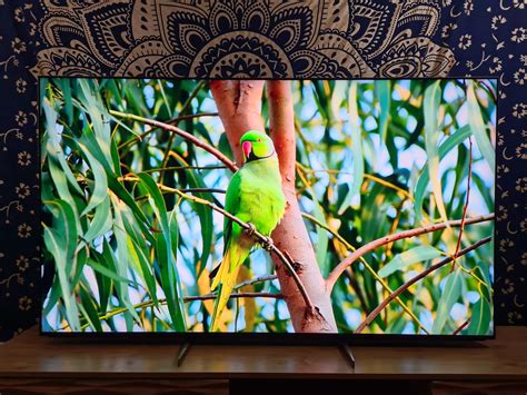 Test Sony Bravia XR-65X95K : le premier Mini-LED de Sony et sans doute ...