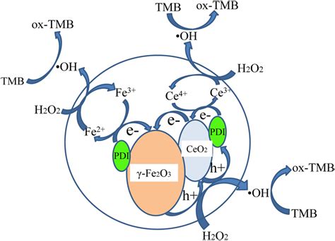 Schematic Diagram Of Electronhole Pair Separation And The Possible