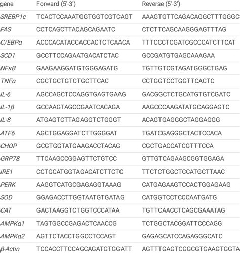 Primers Used In Qpcr Analysis Download Scientific Diagram