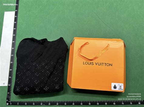 Louis Vuitton Monogram Hoodie Rpandabuy