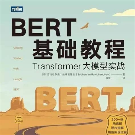 bert基础教程：transformer大模型实战 百度百科