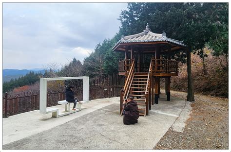 하동 편백자연휴양림 숲길 트래킹