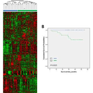 Hierarchical Clustering Analysis Of Gene Expression Data From 48 Human