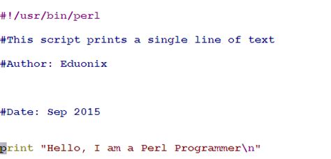 Learn The Basic Features Of Perl Programming Language Eduonix Blog