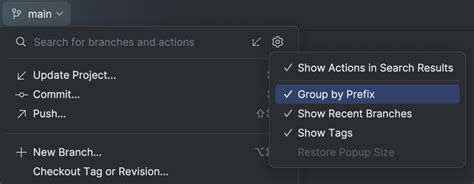Manage Git Branches CLion Documentation