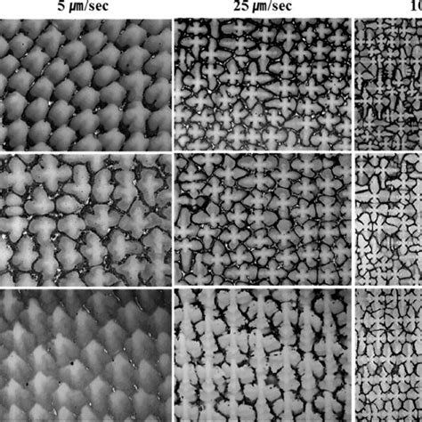Pdf Prediction Of Primary Dendrite Arm Spacing With Solidification
