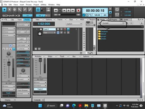 Cakewalk Sonar X3 Producer Edition