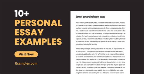Essay Examples