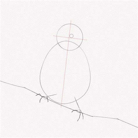 How To Draw A Bird A Step By Step Tutorial Artlex