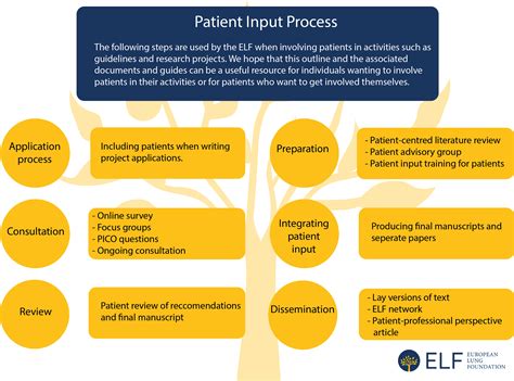 Our Patient Input Process European Lung Foundation