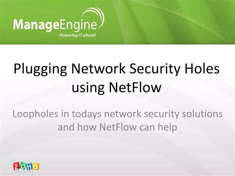 Plugging Network Security Holes Using Netflow Ppt