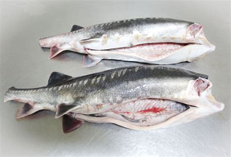 Алтай Ресурс - реализация c/х продукции в страны Ближнего Востока