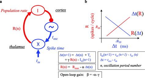 Spike Time To Population Rate Transformation By Tc Npll A Schematic