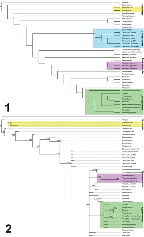 New Sphenodontian Reptilia Lepidosauria From A Novel Late Triassic