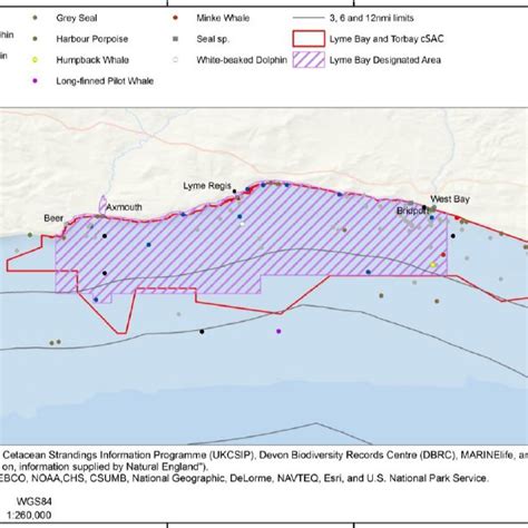 Figure A3 Folk Diagram Showing The Conversion From The Folk Sediment Download Scientific