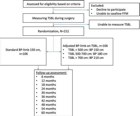 Flowchart Describing The Timeline Of The Study Download Scientific