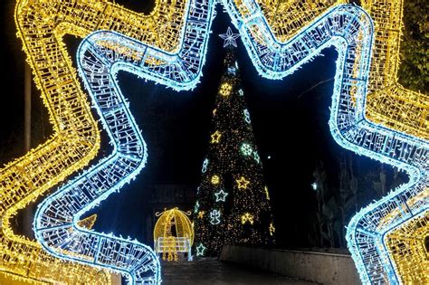 საახალწლო ნაძვის ხეები საქართველოს ქალაქებიდან ფოტოები Ambebi Ge