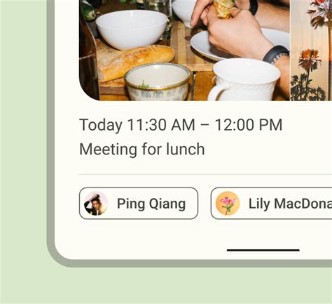 Chips Material Design