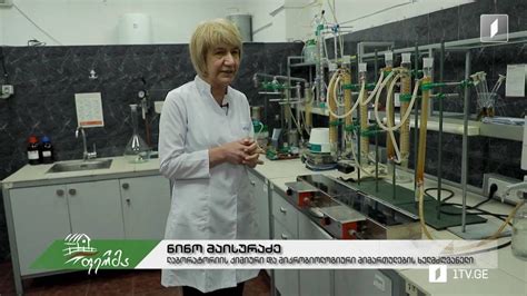 აგროამბები სად და როგორ მოწმდება ქართული ღვინის ხარისხი Youtube