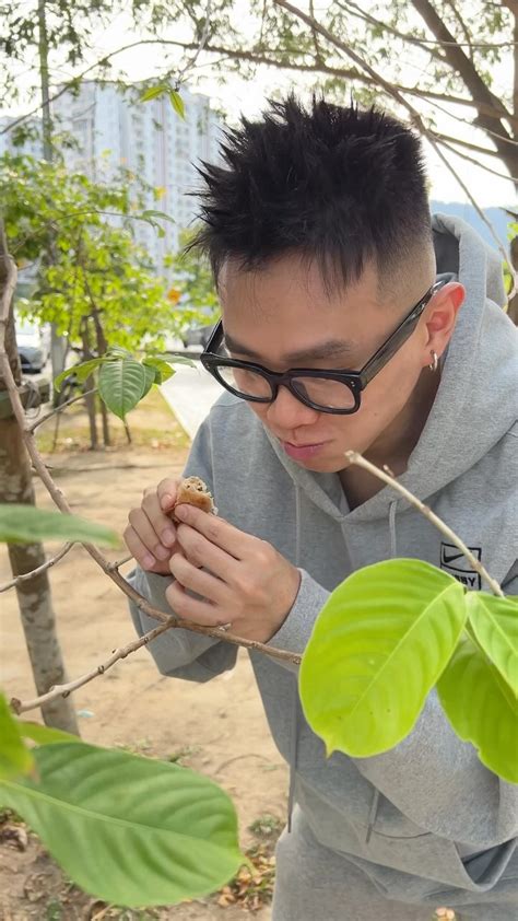 ️这个video 让我们的厨师更有动力的去创作 留言【menu】发你最新menu 😍 狸猫食堂tanuki Japanese Canteen专注于 🍛日式咖喱饭 🥟日式饺子 🍱 一汤三菜 🍧