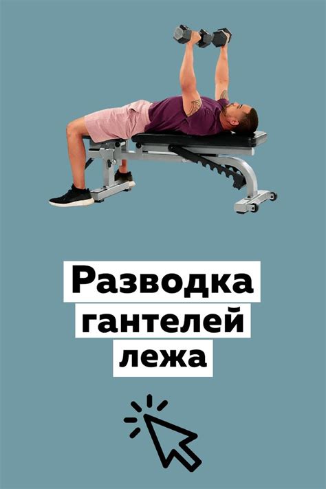 Разводка гантелей лежа техника на горизонтальной скамье для грудных мышц Body Bodybuilding