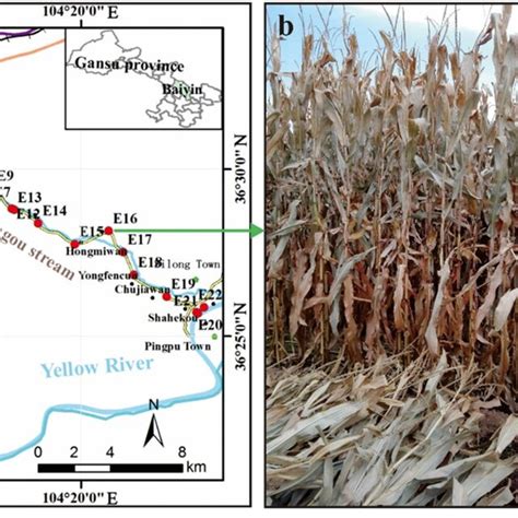 The Spatial Distribution Map Of Corn Sample Sites From Dongdagou And