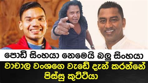 පොඩි සිංහයා නෙමෙයි බලු සිංහයා පිස්සු කුට්ටි වාචාල වංශගෙ රෝල් එක රඟපාන්නේ Youtube