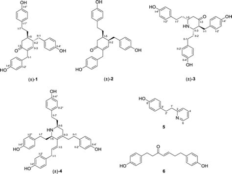 Structures Of Compounds Download Scientific Diagram