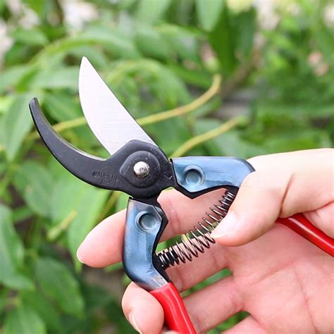 Secateurs And Hand Pruners South Africa Za
