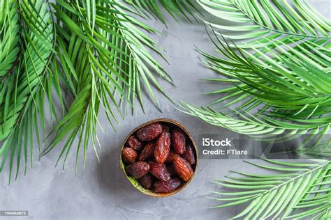 로얄 은 야자수 가지에 코코넛 그릇에 과일을 날짜와 회색 콘크리트 벽 배경에 잎 대추 열대 과일에 대한 스톡 사진 및 기타 이미지 대추 열대 과일 잎 0명 Istock