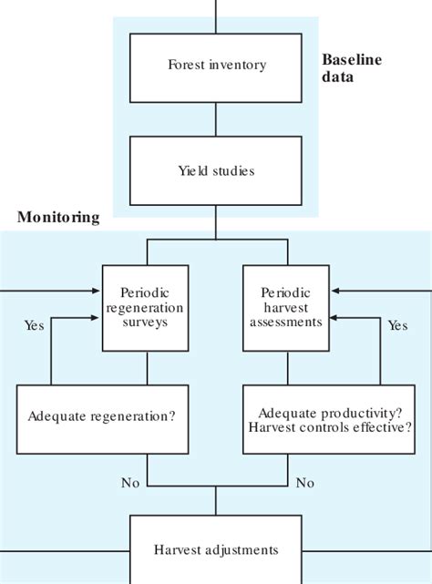 Flow Chart Of Basic Strategy For Exploiting Non Timber Forest Products Download Scientific