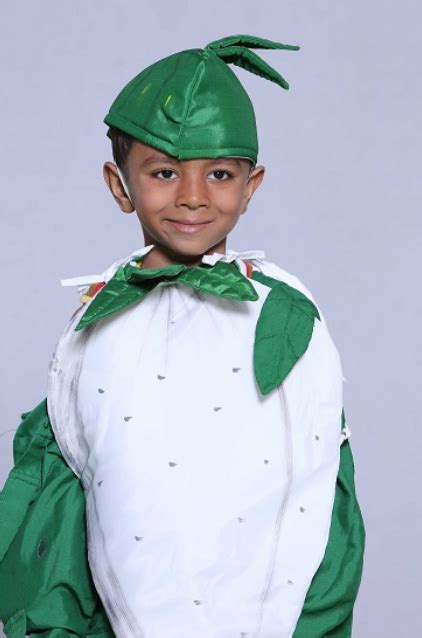 White And Green Garlic Vegitable Costume At Best Price In Ahmedabad