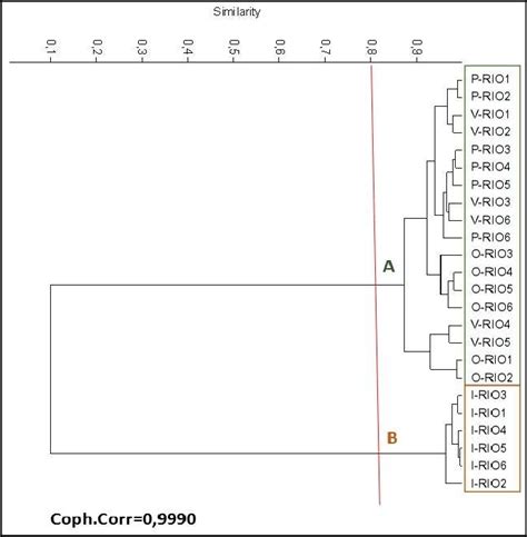 Result Of The Cluster Analysis Between The Sample Areas For All The