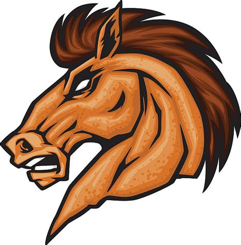 140 Bronco Cartoons Stock Illustrations Royalty Free Vector Graphics