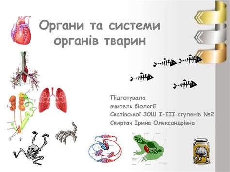 Органи та системи органів тварин Pptx