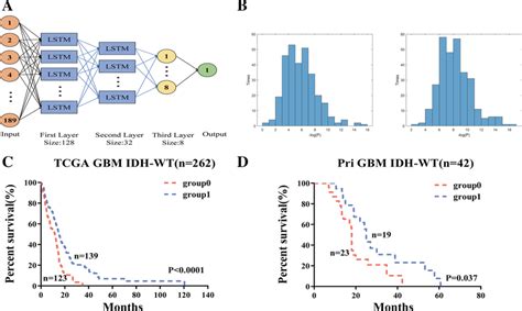 Deep Learning Model Predicts Survival Of Gbm A Deep Learning Model