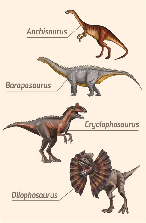 Guía De Los Distintos Tipos De Dinosaurios Prehistoric Animals