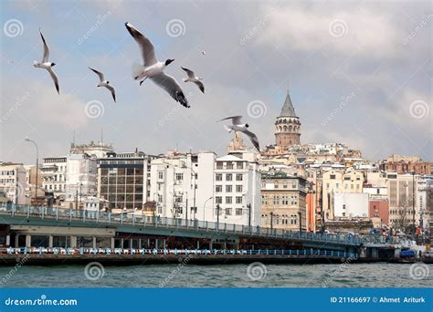 Gaivotas Na Frente Da Ponte De Galata Imagem De Stock Imagem De Cityscape Peru