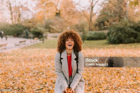 고요한 공원 환경에서 형형색색의 나뭇잎이 공중에서 춤을 추는 가을을 즐겁게 축하합니다 20 24세에 대한 스톡 사진 및 기타