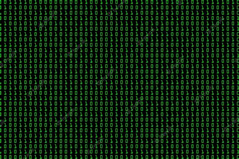 Binary Code 56 Photo