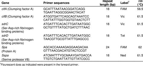List Of Primers Used For Mlva Typing Of S Aureus Mrsa Download Table