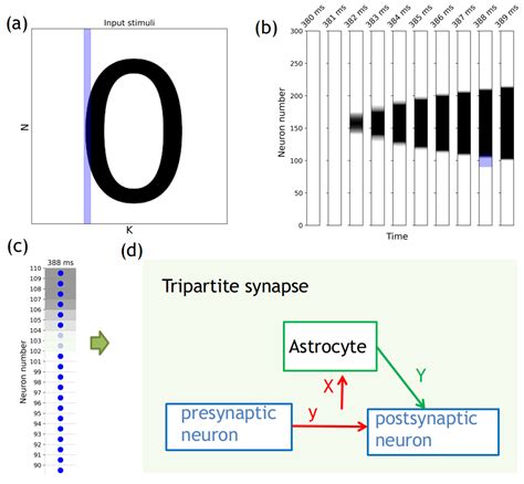 Entropy Free Full Text Information Encoding In Bursting Spiking