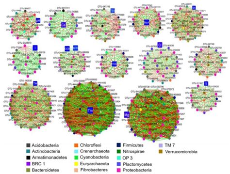 Co Occurrence Microbial Interaction Sub Network From Post Monsoon Download Scientific Diagram