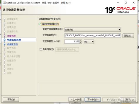 oracle数据库安装及配置（oracle19c） csdn博客