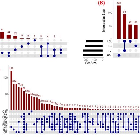 Upset Plot To Illustrate The Number Of Identified Genes Shared Across