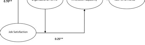 standardized structural equation model with maximum likelihood